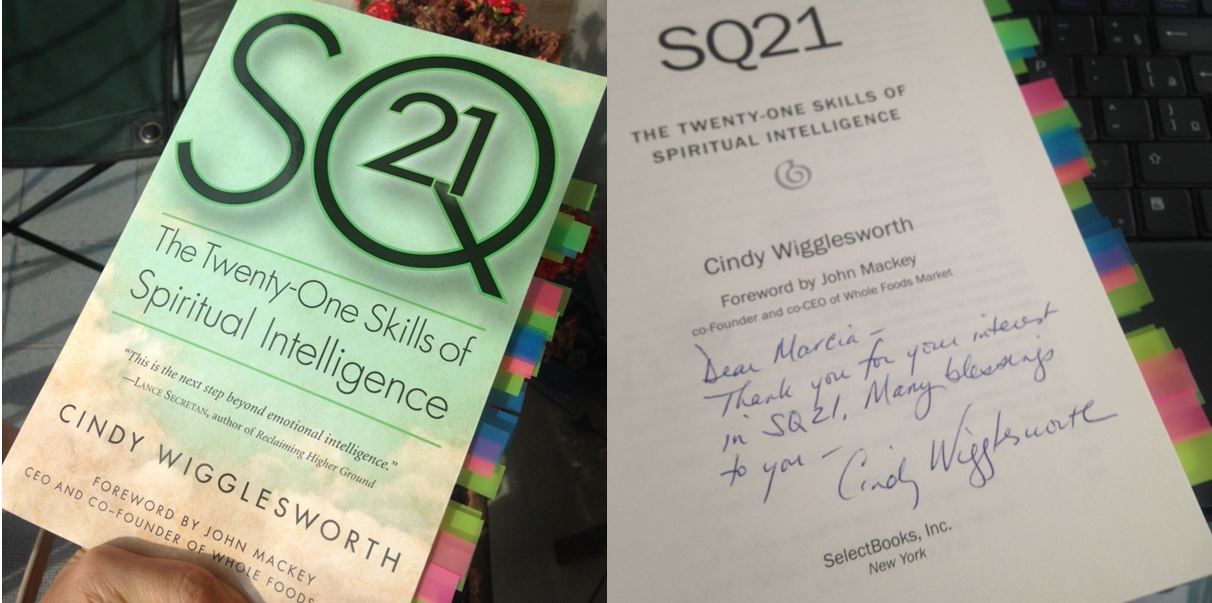 Meu interesse pelo modelo SQ21™ - Choice Consultoria